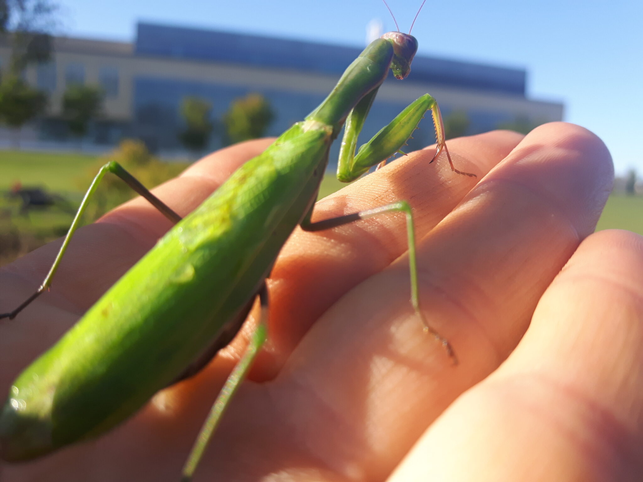 Farm Lab – Growing Garden-Based Learning