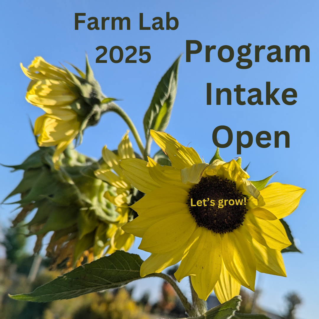 Growing Garden-Based Learning